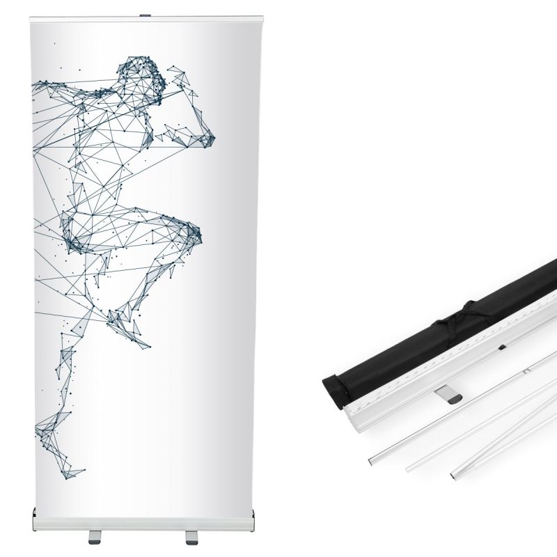 Roll-Up System 85x200 Basic AxOx Media